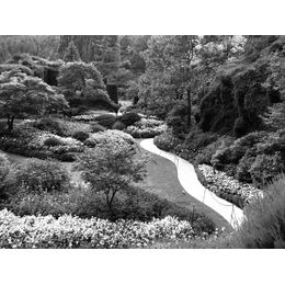papermoon Fototapete "Garten Schwarz & Wei&szlig;", B/L: 2m x 1,49m, Bahnen: 4 Stk., schwarz, Schlafzimmer, Tapeten