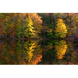 papermoon Fototapete "See im Wald", B/L: 2m x 1,49m, Bahnen: 4 Stk., bunt, Schlafzimmer, Tapeten