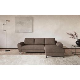 Ecksofa COTTA, B:255cm H:83cm T:154cmtaupe, 96% POLYESTER (PES) 4% POLYAMID(PA), Wohnzimmer, Sofas, "Terra L-Form, Breite 255 cm", wahlweise mit