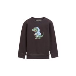 Tom Tailor Jungen Sweater, grau, Gr. 104, bedruckt, Sweatware, Obermaterial: 70% Baumwolle, 30% Polyester, Sweatshirts, mit Dino-Print