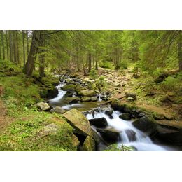 papermoon Fototapete "Mountain River", B/L: 2m x 1,49m, Bahnen: 4 Stk., bunt, Tapeten