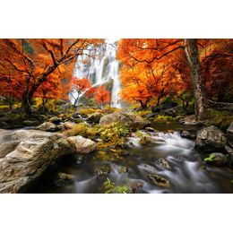 papermoon Fototapete "Wald mit Fluss", B/L: 2m x 1,49m, Bahnen: 4 Stk., bunt, Schlafzimmer, Tapeten