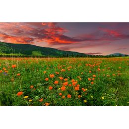 papermoon Fototapete "BLUMEN-WIESE-GEBIRGE NATUR GR&Uuml;N SONNE BERG HIMMEL FELD", B/L: 2m x 1,49m, Bahnen: 4 Stk., bunt, Schlafzimmer, Tapeten