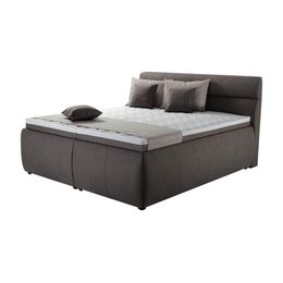 BRECKLE LEDERCOLLECTION Polsterbett ALEA