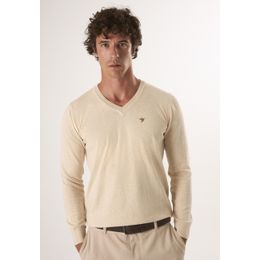FELIX HARDY Herren V-Ausschnitt-Pullover "Pullover mit V-Ausschnitt"beige, Gr. M, 100% Baumwolle, Pullover
