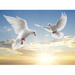 papermoon Fototapete "White Doves", B/L: 2m x 1,49m, Bahnen: 4 Stk., bunt, Tapeten