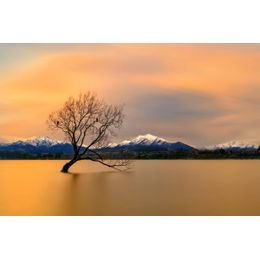 papermoon Fototapete "Photo-Art HUA ZHU, MORGENGL&Uuml;HEN DES LAKE WANAKA", B/L: 2m x 1,49m, Bahnen: 4 Stk., bunt, Schlafzimmer, Tapeten