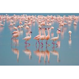 papermoon Fototapete "Flamingos", B/L: 2m x 1,49m, Bahnen: 4 Stk., bunt, Tapeten