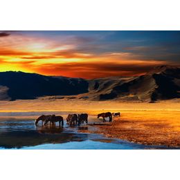 papermoon Fototapete "Mongolian Horses", B/L: 2m x 1,49m, Bahnen: 4 Stk., bunt, Tapeten