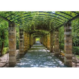 papermoon Fototapete "Garden of Athens", B/L: 2m x 1,49m, Bahnen: 4 Stk., bunt, Tapeten
