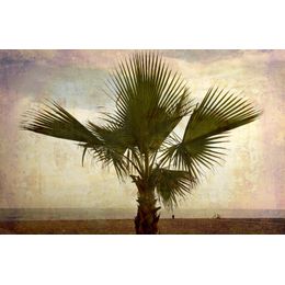 papermoon Fototapete "PALMEN-NATUR LANDSCHAFT STRAND MEER PALME B&Auml;UME BAUM", B/L: 2m x 1,49m, Bahnen: 4 Stk., bunt, Schlafzimmer, Tapeten