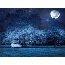 papermoon Fototapete "VOLLMOND-PARK MOND STERNE NACHT WALD B&Auml;UME MYSTISCH", B/L: 2m x 1,49m, Bahnen: 4 Stk., bunt, Schlafzimmer, Tapeten