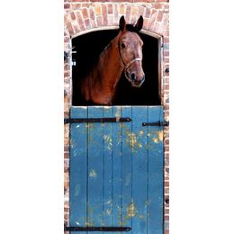 papermoon Fototapete "Horse - T&uuml;rtapete", B/L: 0,9m x 2m, bunt, Tapeten