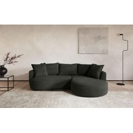 Ecksofa COTTA "Sana L-Form, Breite 260 cm", charcoal, B:260cm T:160cm, 95% POLYESTER (PES) 5% POLYAMID(PA), Sofas, Ecksofa, Loungesofa mit Wellenunterfederung