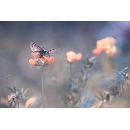Fototapete papermoon "Photo-Art FABIEN BRAVIN, DIE DAME VON LOTHLORIEN", bunt, B:4,5m L:2,8m, Vlies, Tapeten