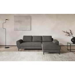 Ecksofa COTTA "Terra L-Form, Breite 255 cm", stone, B:255cm H:83cm T:154cm, 96% POLYESTER (PES) 4% POLYAMID(PA), Sofas, Ecksofa, wahlweise mit Bettfunktion
