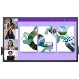 Dell P5524QT Interaktives Touch Display 139,7 cm (55 Zoll)