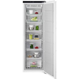 AEG Einbaugefrierschrank "TB7NA181DC", Energieeffizienz: D, silber (wei&szlig;), B:55,7cm H:176,9cm T:54,9cm, Gefrierschr&auml;nke, Temperatur-Warnung: optisch, Einbaugefrierschrank