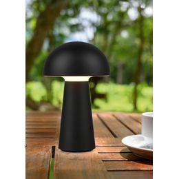 REALITY LEUCHTEN LED Au&szlig;en-Tischleuchte "Lennon", schwarz, 1, &Oslash; 13,6cm H: 21,5cm, 1 Stk., Leuchten, LED Outdoor Tischlampe,4-fach Touchdimmer, Ladefunktion per USB-C,IP44, LED Au&szlig;en-Tischleuchte