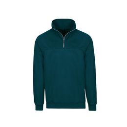 TRIGEMA Herren Sweatshirt "TRIGEMA Sweatshirt mit Rei&szlig;verschluss"saphir, Basic, Gr. L, Sweatware, 70% Baumwolle, 30% Polyester, Sweatshirts
