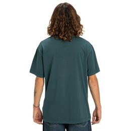 T-Shirt DC Shoes "DC Star Pigment Dye", Herren, Gr. XS, ponderosa pine, Obermaterial: 75% Walkfrottier, 25% Walkfrottier;, Shirts T-Shirt