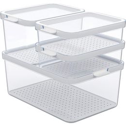 Rotho Cauma K&uuml;hlschrankorganizer Set 4 teilig 2 x 1,2 Liter / 2,15 Liter / 4,65 Liter - K&uuml;hlschrank-Zubeh&ouml;r