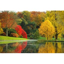 Fototapete papermoon "Fluss im Wald", bunt, B:3,5m L:2,6m, Vlies, Tapeten