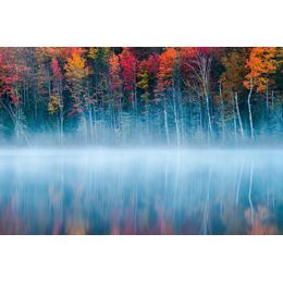 Fototapete papermoon "Photo-Art JOHN FAN, MORGENREFLEXION", bunt, B:3,5m L:2,6m, Vlies, Tapeten