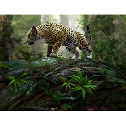 Fototapete papermoon "Jaguar on the Prowl", bunt, B:3,5m L:2,6m, Vlies, Tapeten