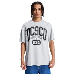 T-Shirt DC Shoes "Elective", Herren, Gr. XL, light erdgrau, Obermaterial: 75% Baumwolle, 25% Baumwolle., Shirts T-Shirt