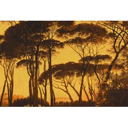 Fototapete ARCHITECTS PAPER "Atelier 47 Treetops 2", bunt (sonnengelb, orange, braun), B:4m L:2,7m, Vlies, Tapeten, Vlies, Wand, Schr&auml;ge, Decke
