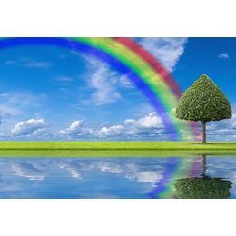 Fototapete papermoon "regenbogen Wiese", bunt, B:3,5m L:2,6m, Vlies, Tapeten