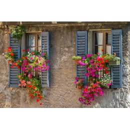 Fototapete papermoon "Alte Fenster", bunt, B:3,5m L:2,6m, Vlies, Tapeten