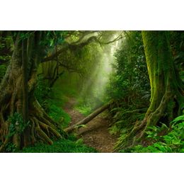 Fototapete papermoon "TROPISCHER WALD-BAUM DSCHUNGEL SONNE WEG PALMEN BACH", bunt, B:3,5m L:2,6m, Vlies, Tapeten