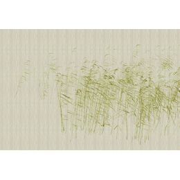 Livingwalls Fototapete LIVING WALLS "Walls by Patel At The Pond", gr&uuml;n, B:4m L:2,7m, Vlies, Tapeten, Vlies, Wand