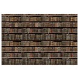Fototapete ARCHITECTS PAPER "Old Books", braun (braun, schwarz), B:4m L:2,7m, Vlies, Tapeten, Vlies, Wand, Schr&auml;ge