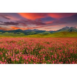 Fototapete papermoon "GEBIRGE-FELD BLUMEN BERGE WIESE SONNE WALD FLUSS WOLKEN", bunt, B:3,5m L:2,6m, Vlies, Tapeten