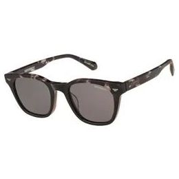 Sonnenbrille Superdry "Modell 996100", Herren, grau havanna, gemustert, leicht durchscheinend, matt, Sonnenbrillen Sonnenbrille, Form Karree/Eckig, Logoschriftzug auf B&uuml;gel, Kunststofffassung