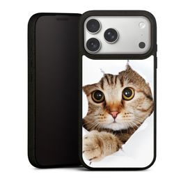 DeinDesign iPhone 17 Pro Max Handy Organic Case Bio H&uuml;lle Nachhaltige Handyh&uuml;lle Cat Pet Animals Organic Case