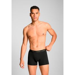Puma Herren Boxershorts "Puma MEN EVERYDAY BASIC BOXERS 3P", Gr. XL, gr&uuml;n, Jersey, Obermaterial: 95% Baumwolle, 5% Elasthan, Unterhosen, Komfortabler
