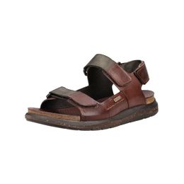 Sandale Pikolinos "Pikolinos Sandalen Leder/Textil", Herren, Gr. 42, dunkelbraun, Leder, Textil, Schuhe Sandale