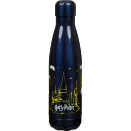 Isolierflasche Scooli "Harry Potter", Kinder, Gr. 450ml, bunt (harry potter), Trinkflaschen Isolierflasche
