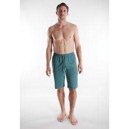 Bermudas Tom Tailor, Herren, Gr. 50, N-Gr, gr&uuml;n, mittel, ui, Single Jersey, Obermaterial: 100% Baumwolle, Hosen Bermudas