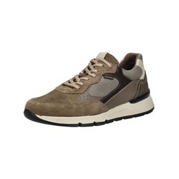 Nero Giardini Herren Sneaker "Nero Giardini Sneaker Leder/Textil", Gr. 44, braun, Leder, Textil, Schuhe