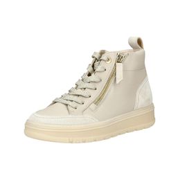 Paul Green Damen Sneaker "Paul Green Sneaker Veloursleder", Gr. 40, beige, Veloursleder, Schuhe