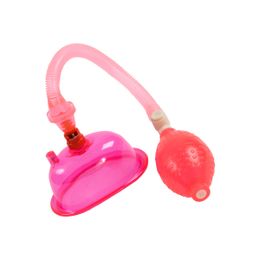 Pussy Pump In A Bag, 10,8 cm