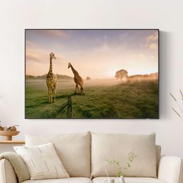 Akustik-Wechselbild Surreal Giraffes