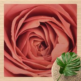 Bilderwelten Kork-Teppich Landhaus rosa Korkmatte - Rosa Rosenbl&uuml;te - Rose Wohnzimmer Schlafzimmer