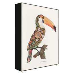 Bilderwelten Akustik-Wechselbild Boho Vogel - Tukan