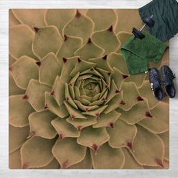 Bilderwelten Kork-Teppich Tropisch gr&uuml;n Korkmatte - Steinrose Jovibarba Hirta - Pflanzen Wohnzimmer Schlafzimmer